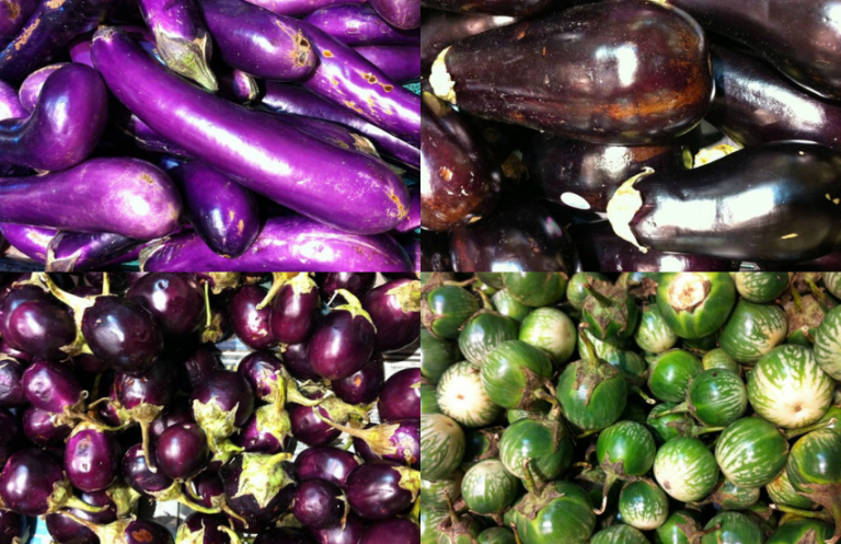 Different types of Eggplants (and Recipes!) • Oh Snap! Let's Eat!