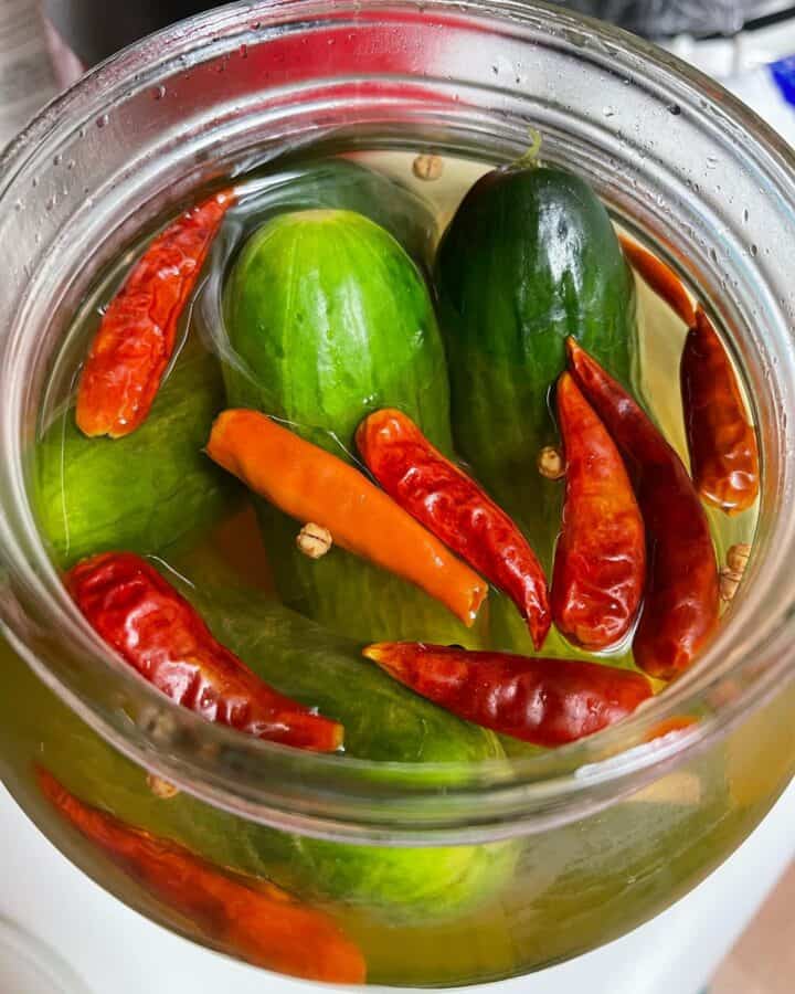 Chinese Cucumber Pickles (Quick & Spicy) - Oh Snap! Let's Eat!
