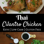 Thai Cilantro Chicken (Keto, Gluten Free, Paleo) • Oh Snap! Let's Eat!