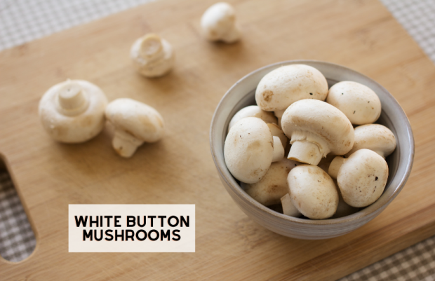 Different Types of Mushrooms (and Recipes!) • Oh Snap! Let's Eat!