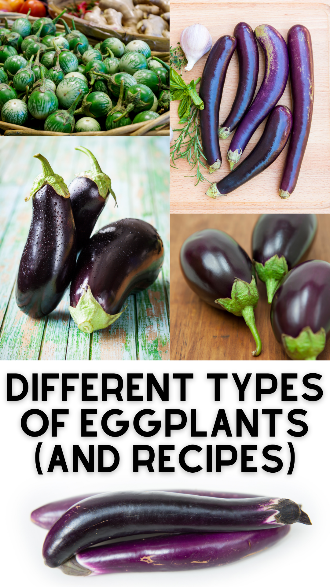 Different types of Eggplants (and Recipes!) • Oh Snap! Let's Eat!
