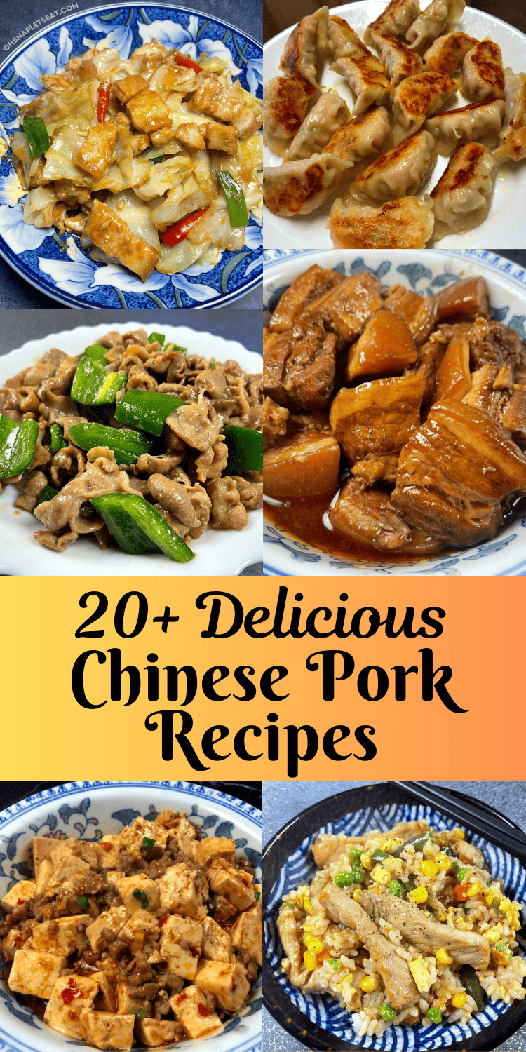 20+ Delicious Chinese Pork Recipes • Oh Snap! Let's Eat!
