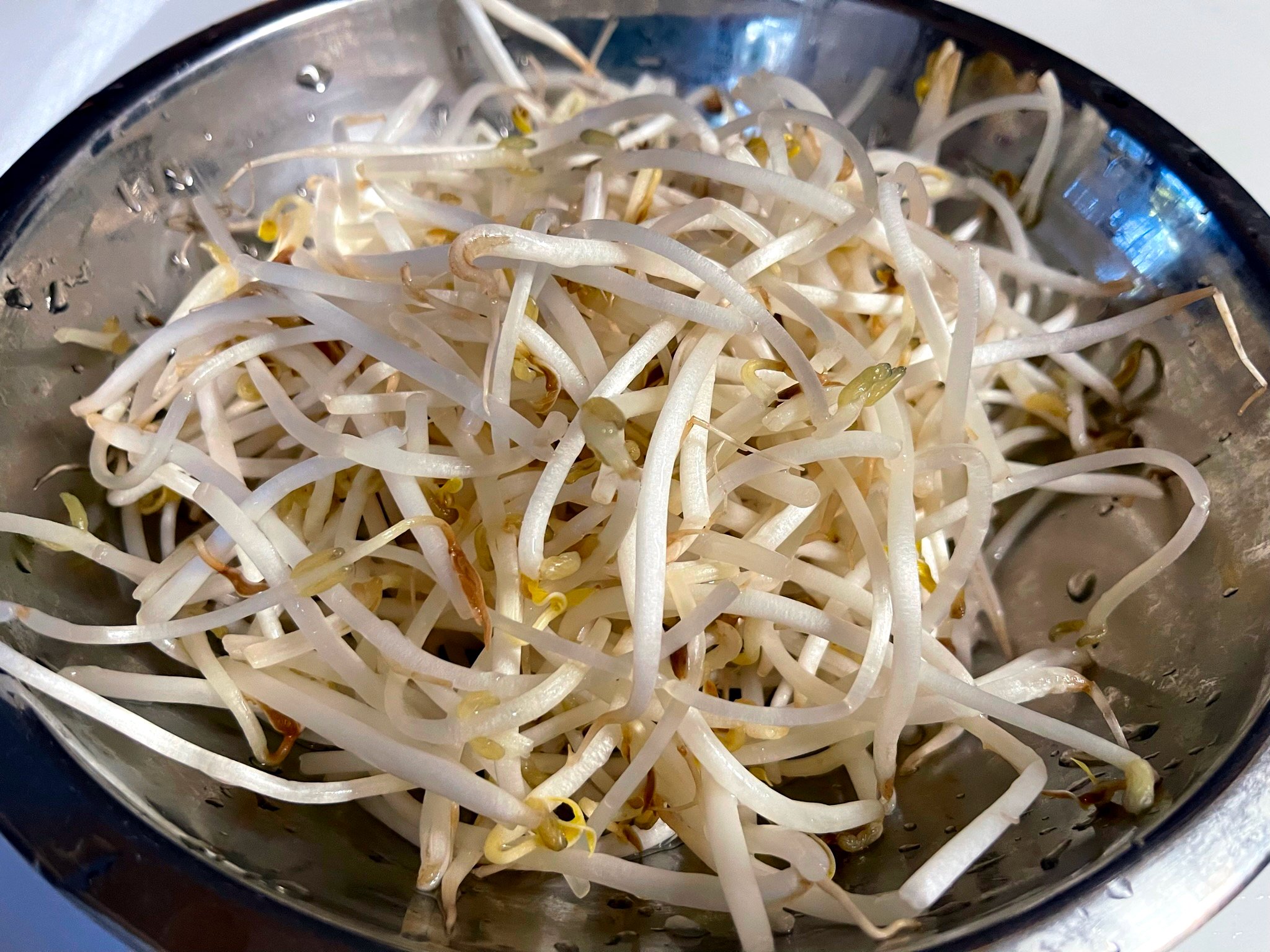 How to Keep Bean Sprouts Fresh Longer (So They Don’t Turn Slimy!) • Oh ...
