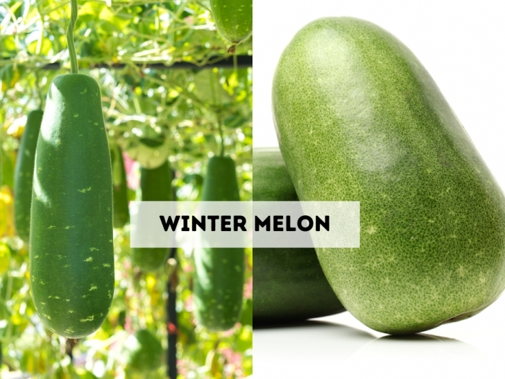 Stir Fry Winter Melon • Oh Snap! Let's Eat!