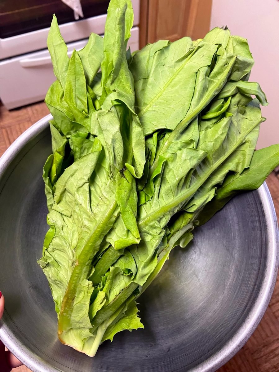 Stir Fry A Choy Recipe (Taiwanese Lettuce) • Oh Snap! Let's Eat!