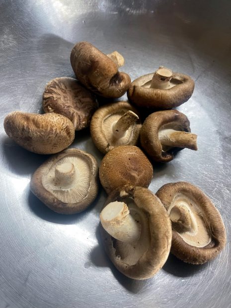 Chicken Shiitake Mushrooms Stir Fry • Oh Snap! Let's Eat!