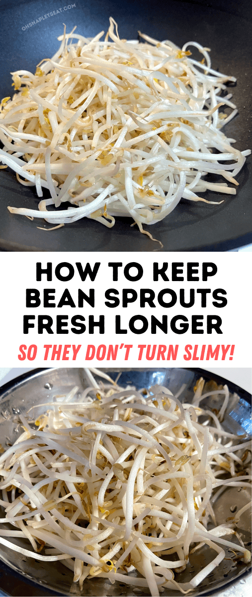 How to Keep Bean Sprouts Fresh Longer (So They Don’t Turn Slimy!) • Oh ...