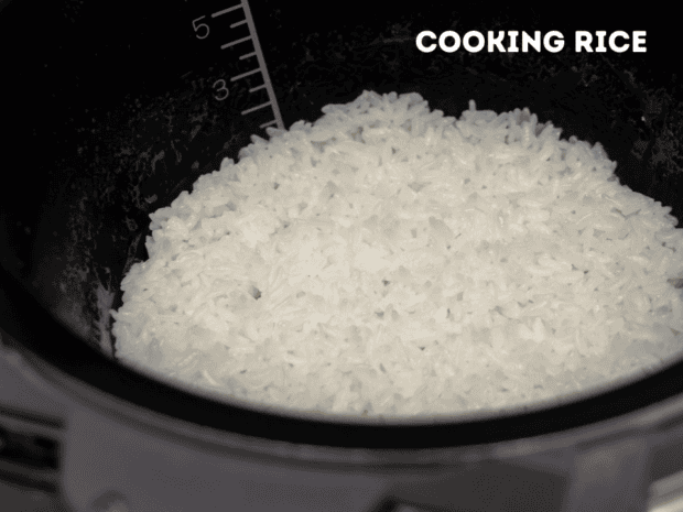 Types of Rice Explained: Asian Rice Varieties & Uses